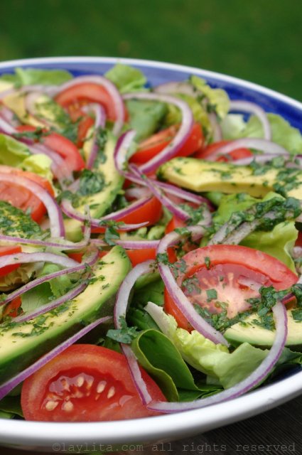 Salada mista de tomate, abacate, e cebola - Receitas da Laylita