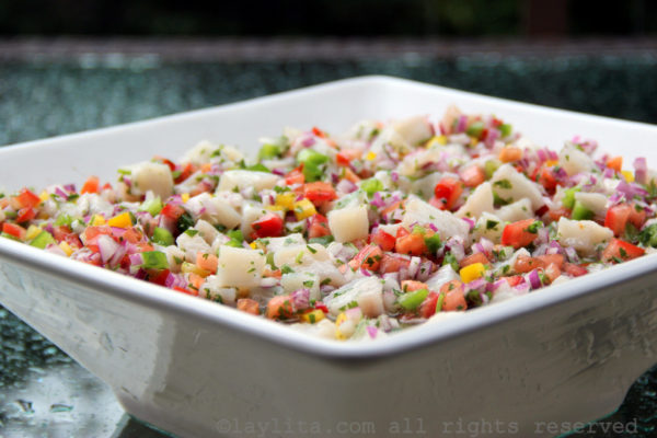 Recetas de Ceviches Ecuatorianos - Recetas de Laylita