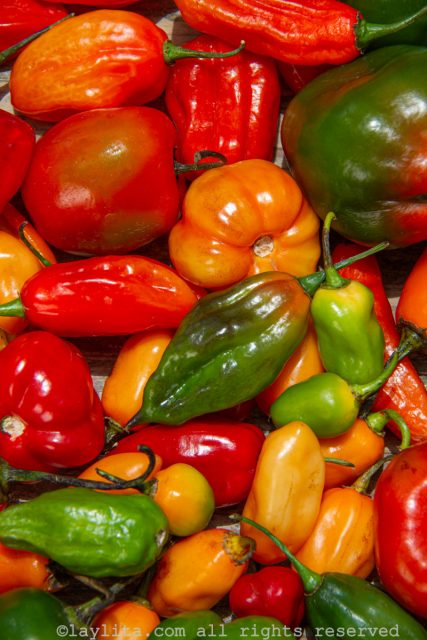 Ajíes, chiles o pimientos picantes – Laylita.com – Recetas de Cocina