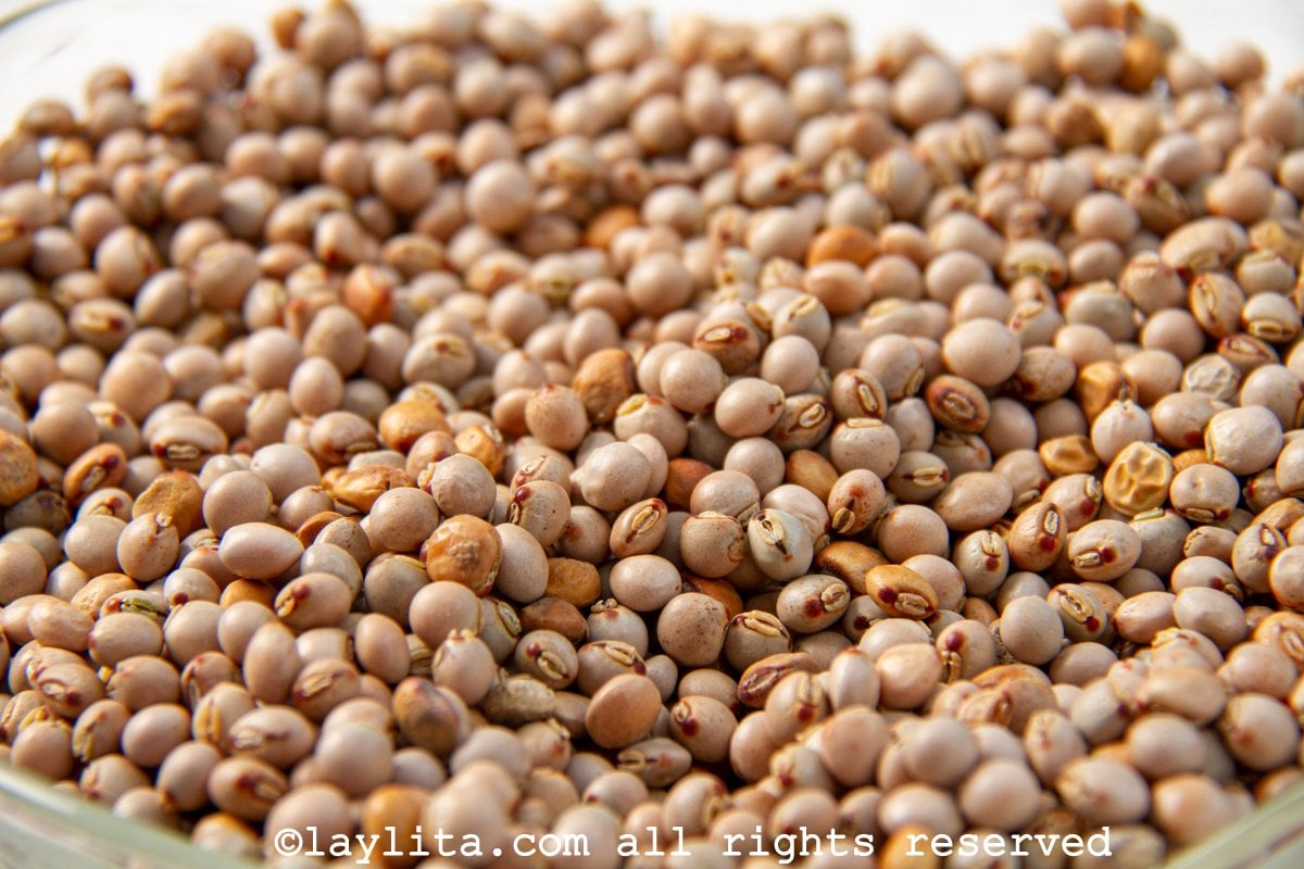 Guandú, gandul, frijol o poroto de palo – Laylita.com – Recetas de Cocina