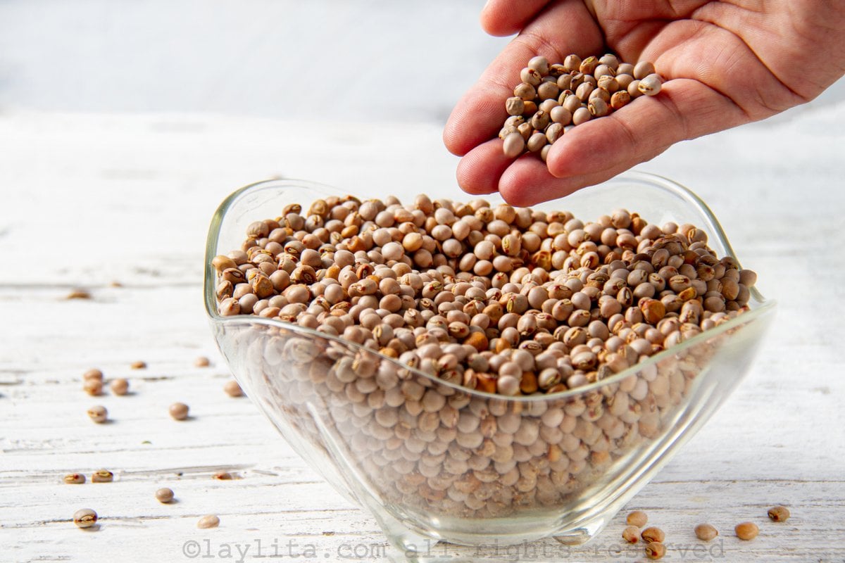 Guandú, gandul, frijol o poroto de palo – Laylita.com – Recetas de Cocina