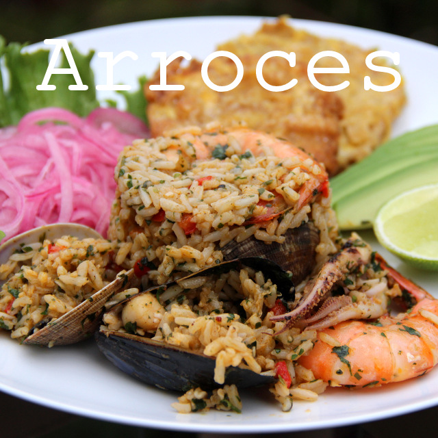 Indice de las Recetas de Laylita – Laylita.com – Recetas de Cocina