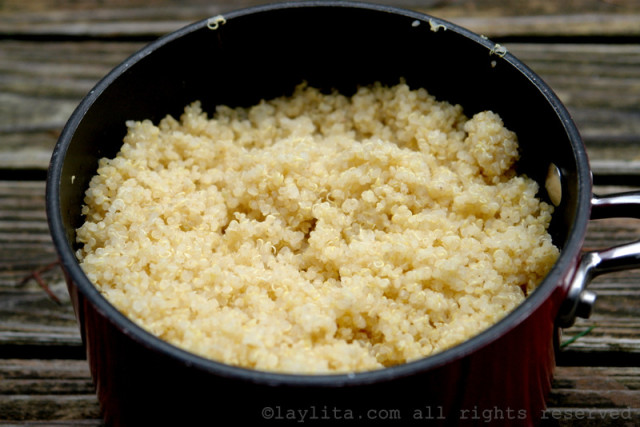 Cuisson du quinoa – Recettes de Laylita