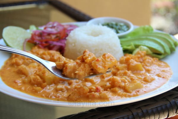 Ecuadorian recipes