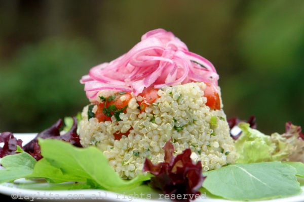 Ecuadorian recipes