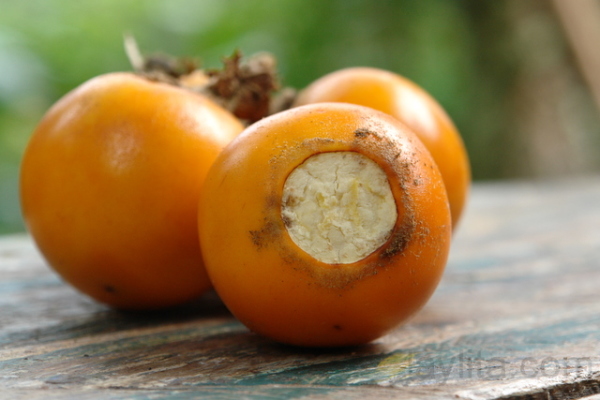 Canelazo recipe and naranjillazo recipe - Laylita's Recipes